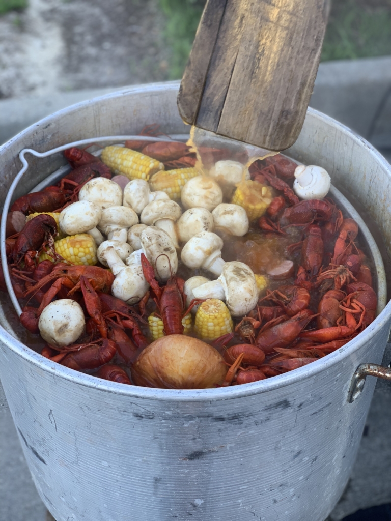 Who We Are | Celtic Studios